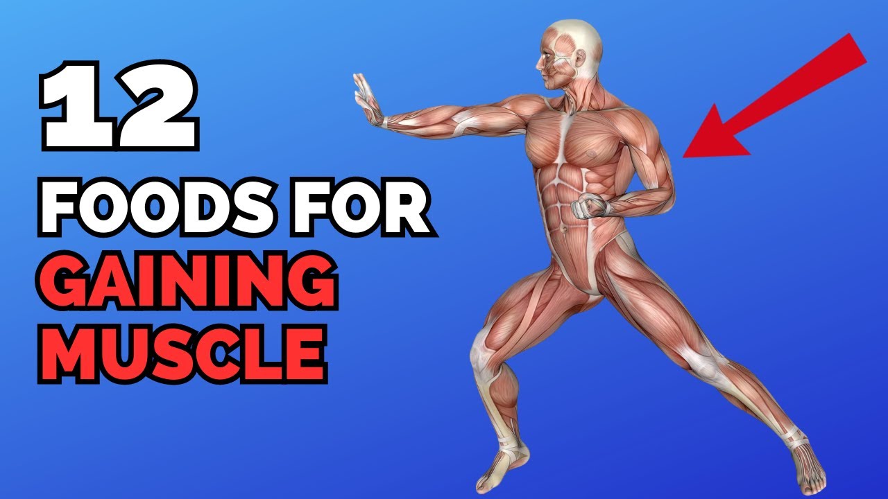 12 Top Foods for Building Muscle and Strength - DanbiFit