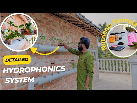 Hydroponics DFT system | Complete Guide | Nutrition Information - DanbiFit